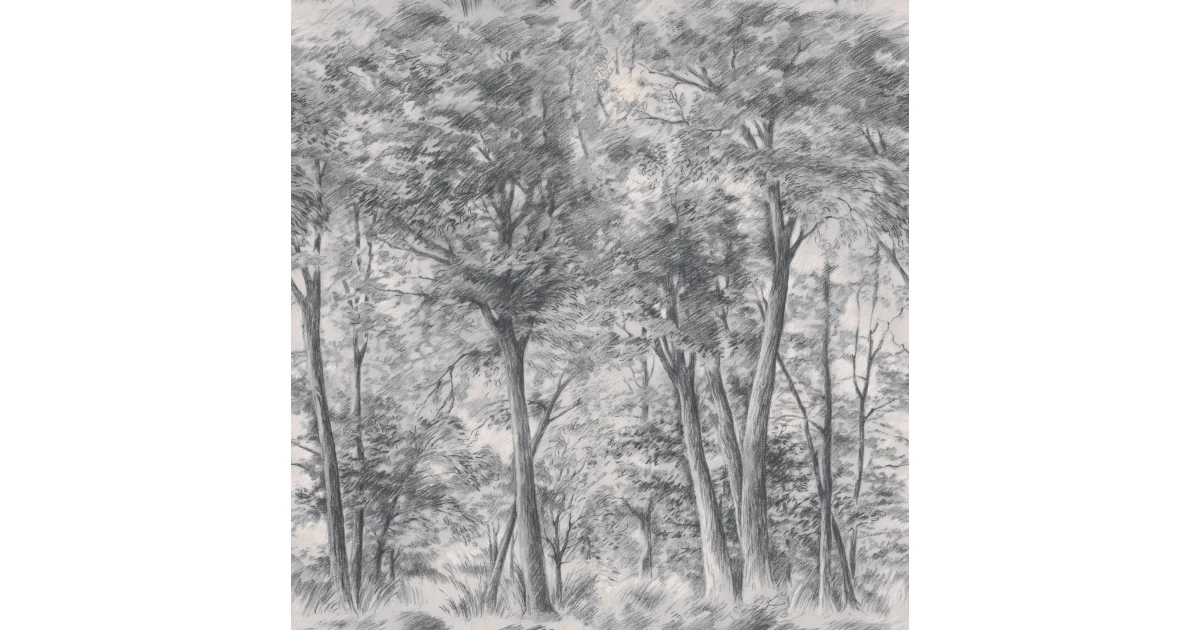 Sketch of Trees wallpaper – Boråstapeter’s serene forest sketch