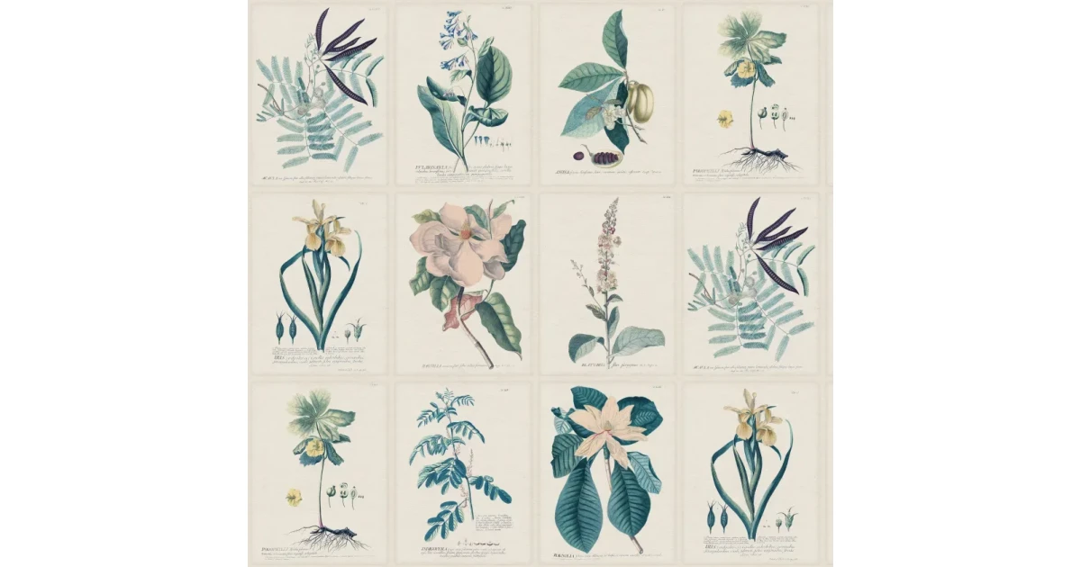 Flora Wallpaper – botanical beauty on your walls